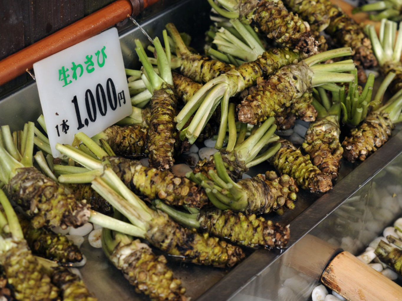 Kde koupit wasabi - SambalShop | Asijské potraviny 🥢